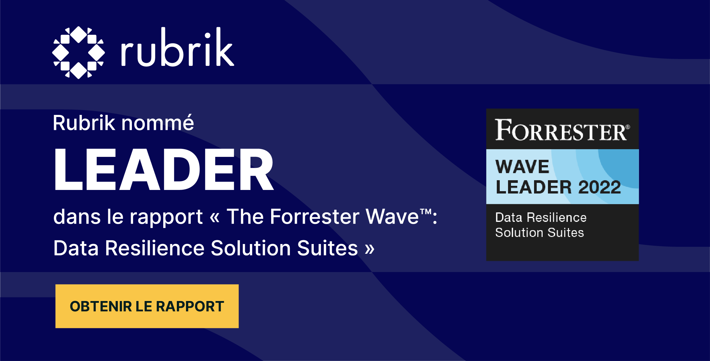 Rubrik nommé leader dans le rapport « The Forrester Wave™: Data ...